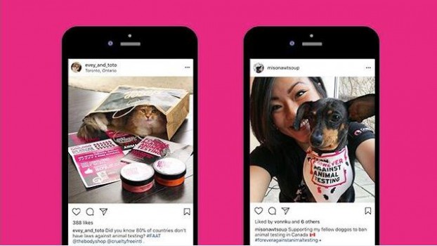 The Body Shop’s grassroots approach to pet activism » Strategy