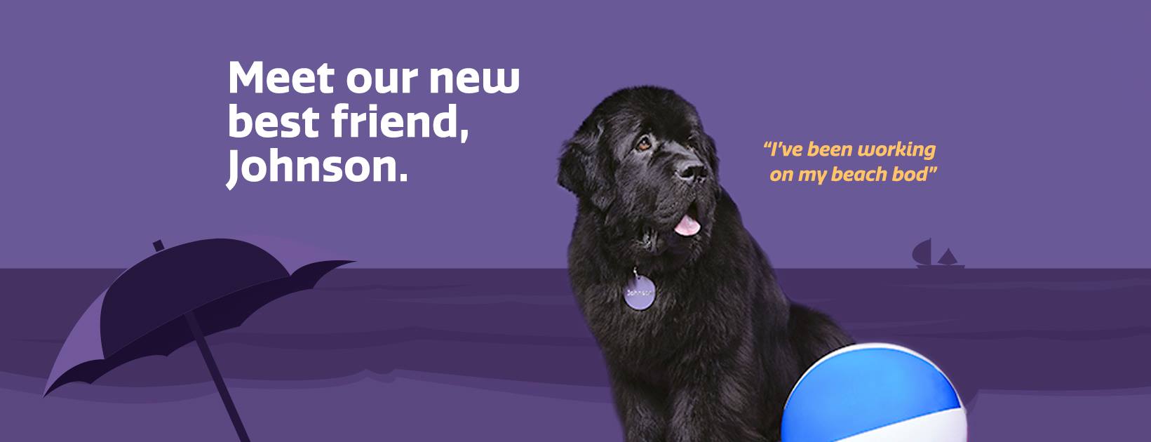 Johnson Insurance launches rebrand and new campaign » Strategy