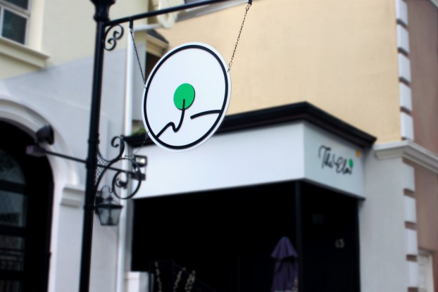 Elm_Tree-3 » Strategy