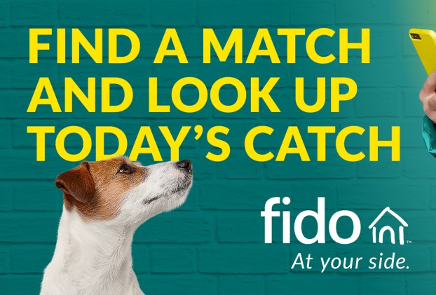 Fido’s new platform reminds consumers whose side it’s on » Strategy